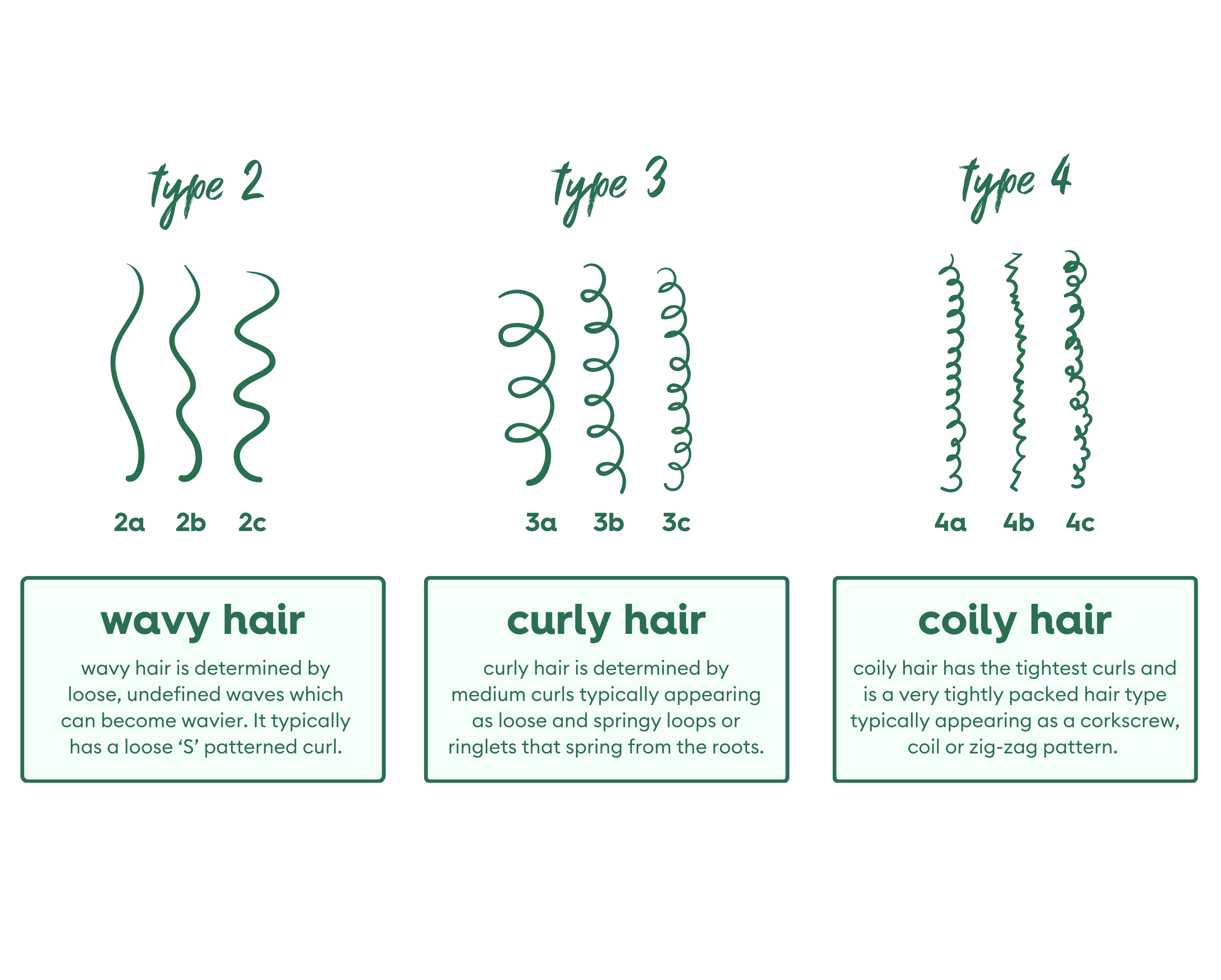 What's my curl type? – Flora & Curl US