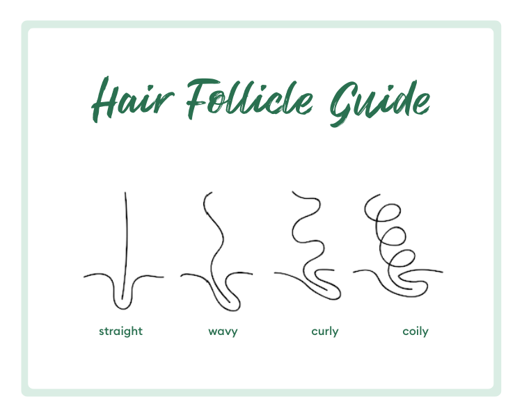 What's my curl type? – Flora & Curl